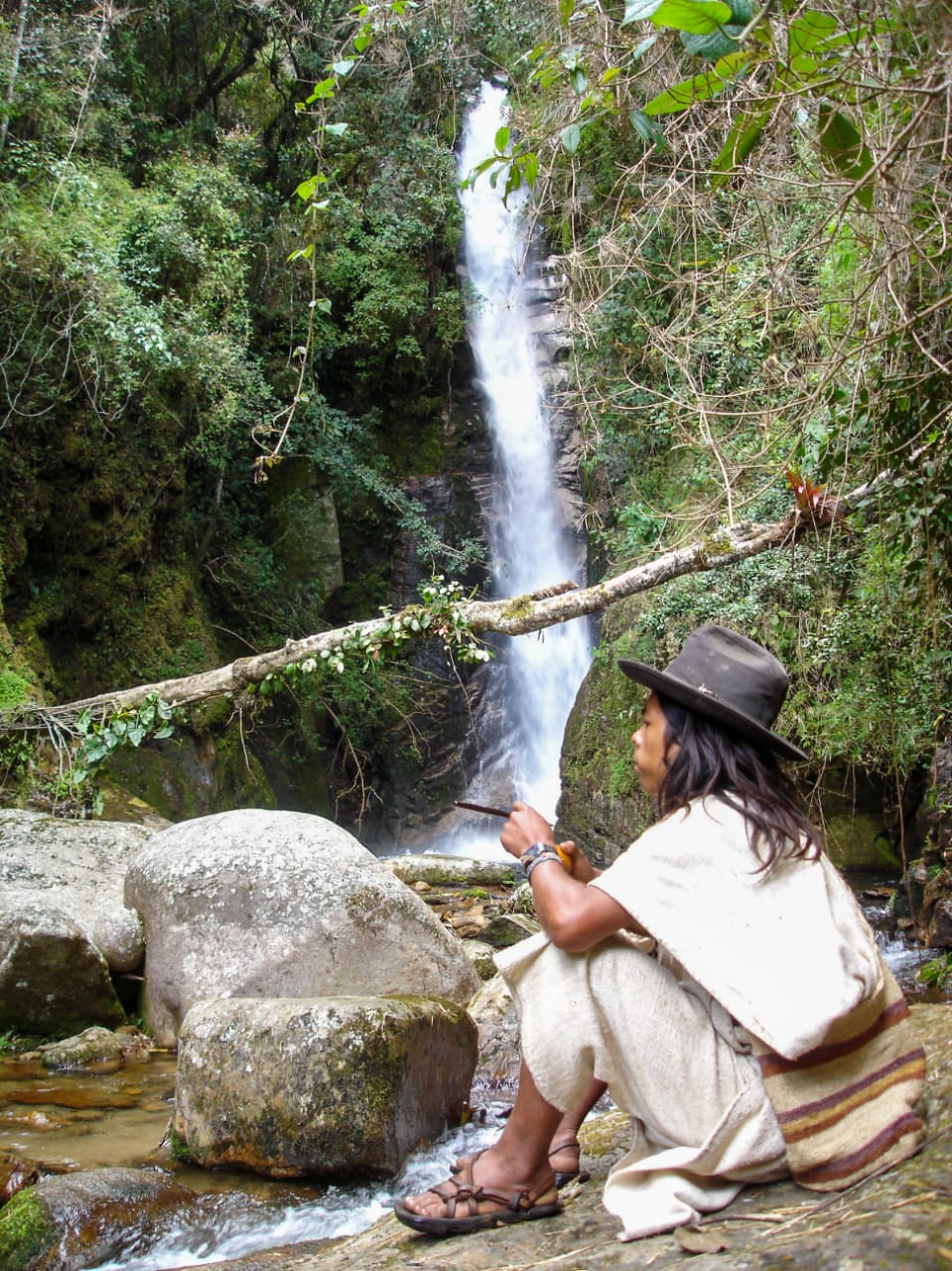 El Poporo: Elemento primordial en procesos tradicionales y espirituales ...